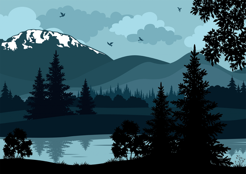 Skagit – Upper Skagit Library